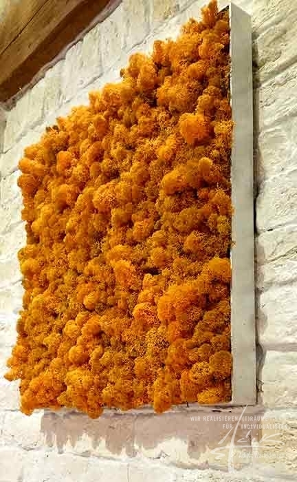 Moosbilder von AdiK - Wanddesign aus Feistritz