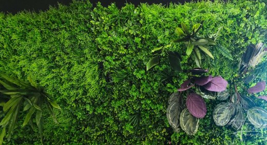 Kunstpflanzenwände mit vielfältigen Dekorationselementen - AdiK