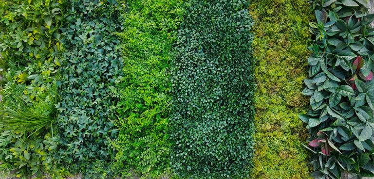 Pflanzenwände - AdiK - Wanddesign, Gestaltung von Wandoberflächen mit ...